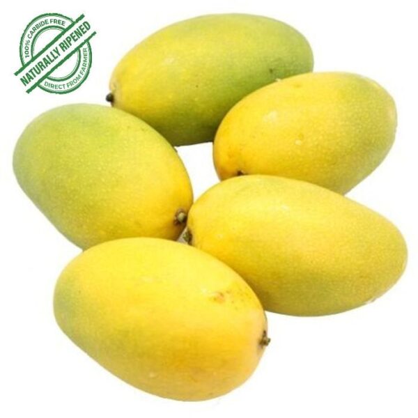 Fresh Farm's Dasheri Mango - UrbanGroc